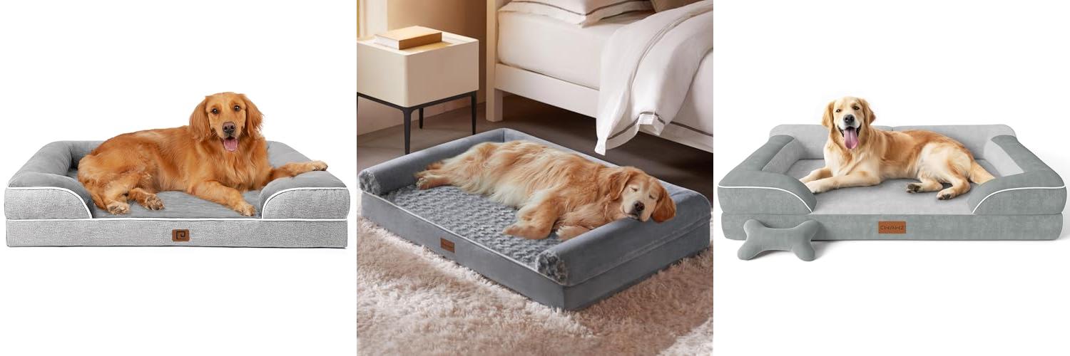 Top 5 Labrador Dog Beds: Ultimate Comfort Guide - mtncurdog