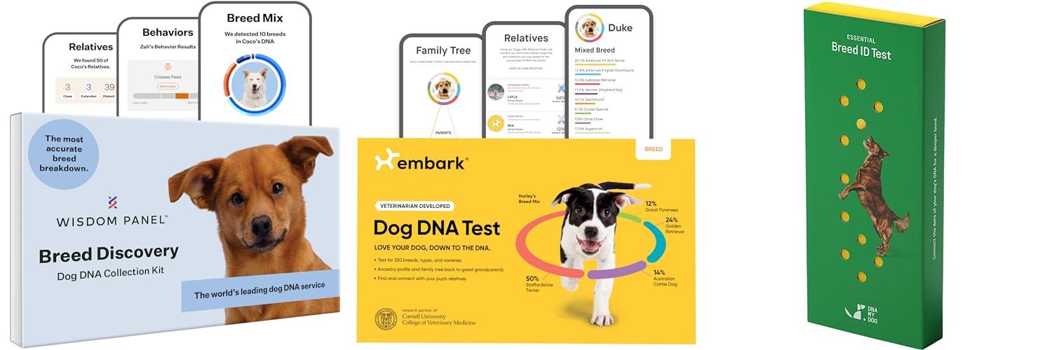 Top 5 Dog DNA Kits: Uncover Your Pup's Secrets! - mtncurdog