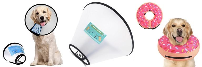 Top 5 Dog Elizabethan Collars: Your Vet's Approved Guide - mtncurdog