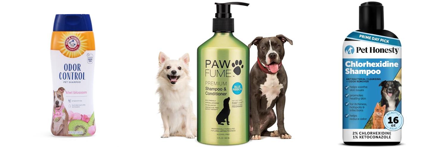 Best Stinky Dog Shampoo - Top 5 Picks & Review - mtncurdog