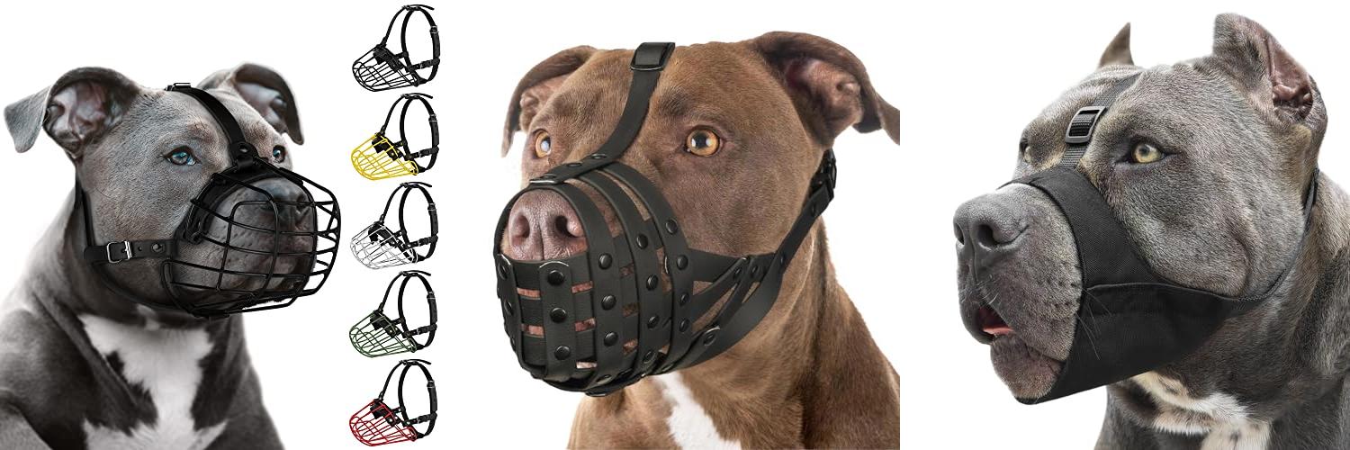Top 5 Pit Bull Muzzles: Your Essential Buying Guide - mtncurdog
